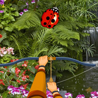 Play Hidden Ladybug Game-Play Free Hidden Objects Games-Hiddenogames