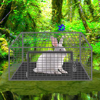 Play White Rabbit Escape Game-Play Free Hidden Objects Games-Hiddenogames