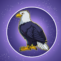 Play G2J The Bald Eagle Escape Game-Play Free Hidden Objects Games ...