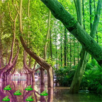 Play Games2rule Cascade Hill Forest Escape Game-Play Free Hidden ...