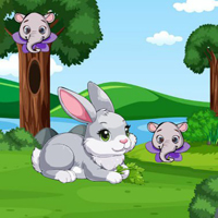 Play Wow Feed The Hungry Rabbit Game-Play Free Hidden Objects Games ...