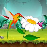 Play Peaceful Birds Forest Escape Game-Play Free Hidden Objects Games ...