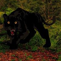 Play BEG Escape From Black Panther Forest Game-Play Free Hidden Objects ...