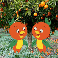 Play Twin Orange Birds Escape HTML5 Game-Play Free Hidden Objects Games ...