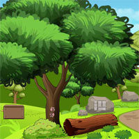 Play Top10 Rescue The Wild Boar Game-Play Free Hidden Objects Games ...