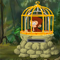 Play Free New Hidden numbers games-Hiddenogames