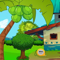 Play G2J Find the Forest Cottage House Game-Play Free Hidden Objects ...