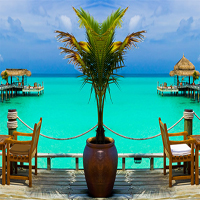 Play Tropical Paradise Hidden 247 Game-Play Free Hidden Objects Games ...