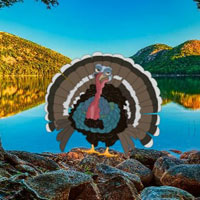 Play Save The Wild Turkey HTML5 Game-Play Free Hidden Objects Games ...