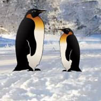 Play penguin snow land escape Game-Play Free Hidden Objects Games ...