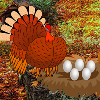 Play Catch a Turkey and Eggs Game-Play Free Hidden Objects Games ...